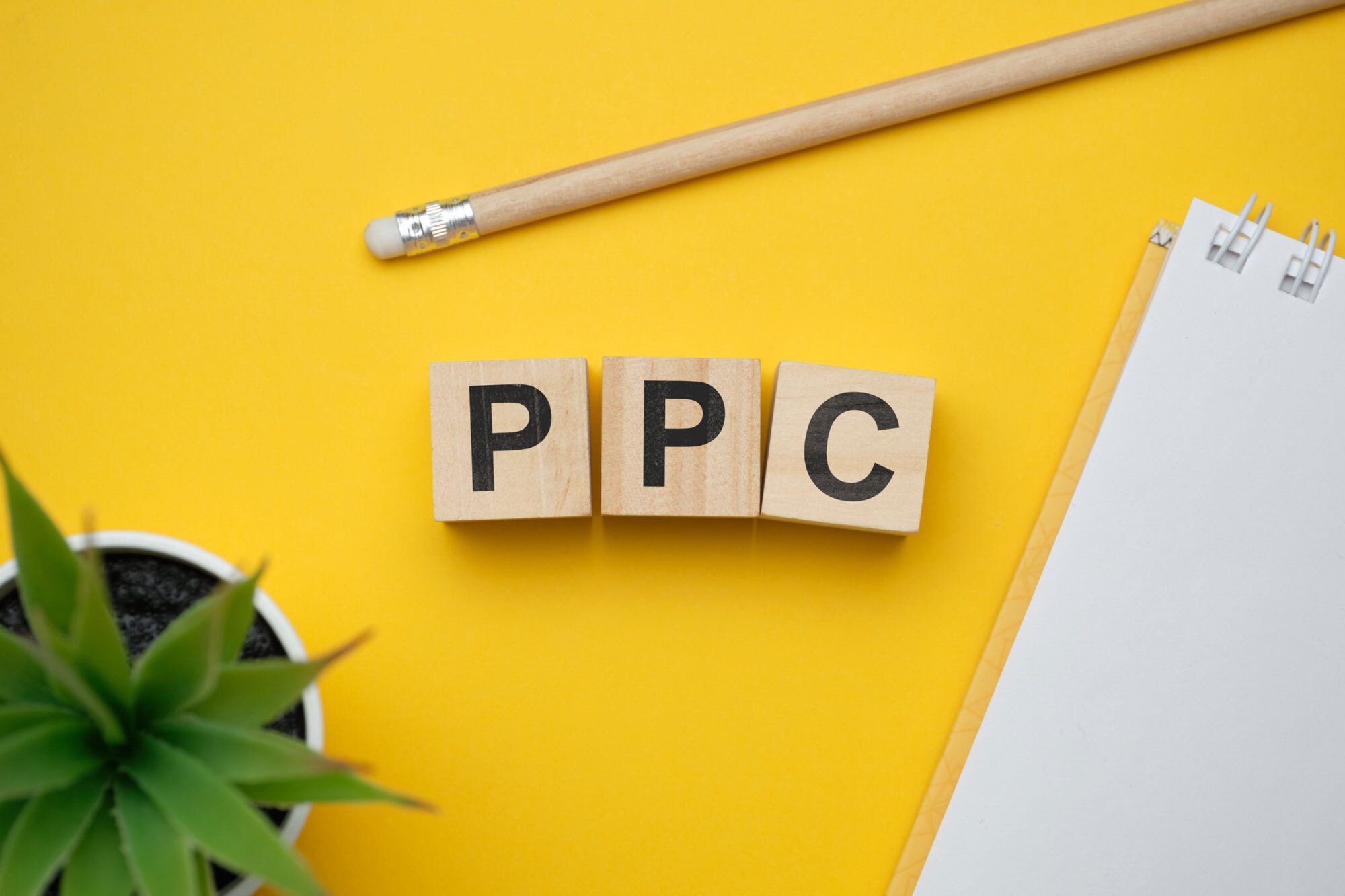 Beginners Guide to Pay Per Click (PPC) Campaigns - Bluegrass Integrated ...